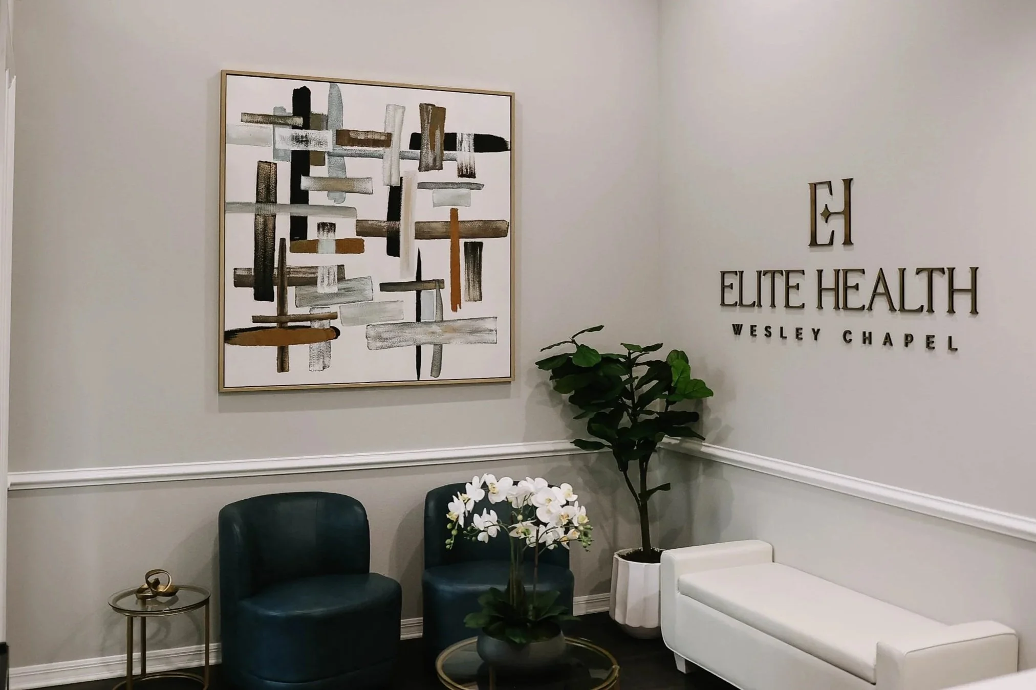Direct Primary Care in Wesley Chapel, Florida | Elite Health