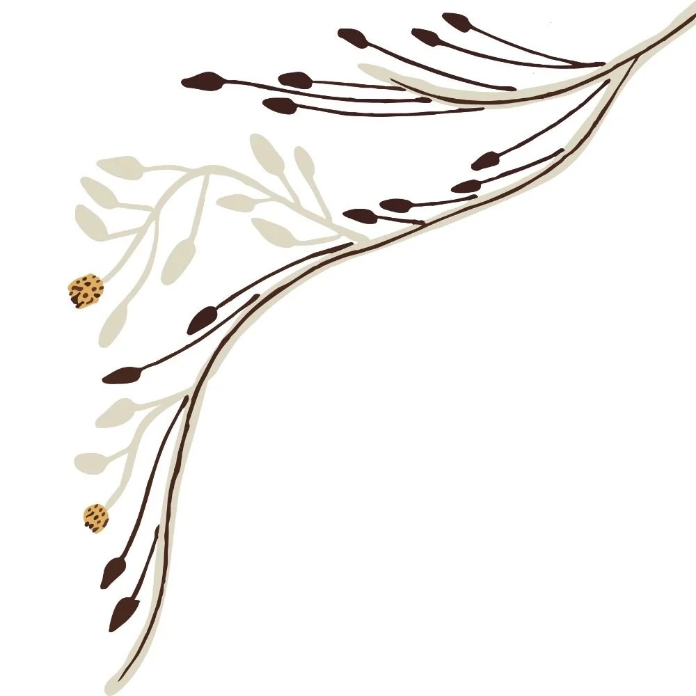 Townsville First Nations Community Council