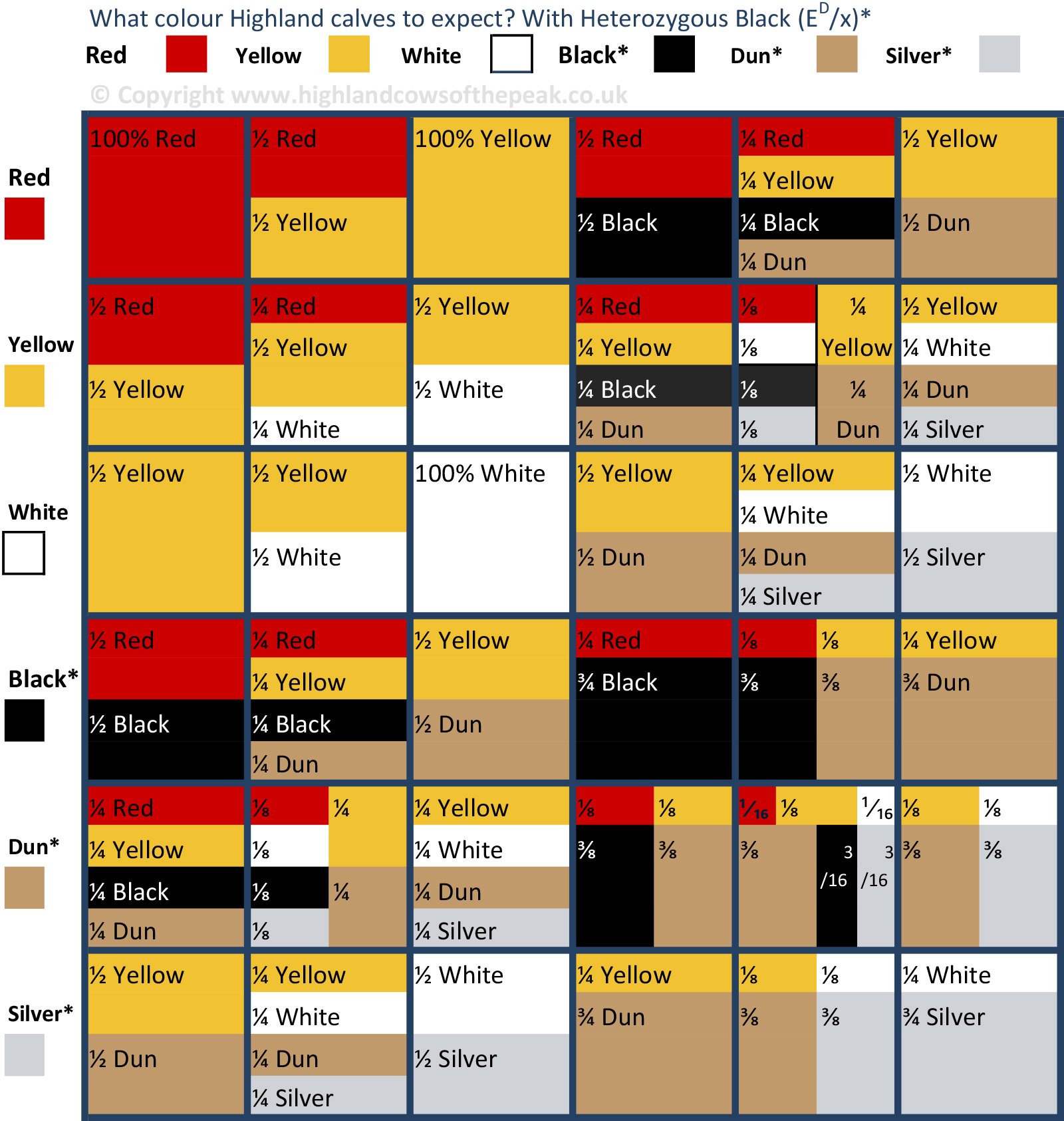 Highland Cattle Coat Colour Genetics Explained — Highland Cow ...