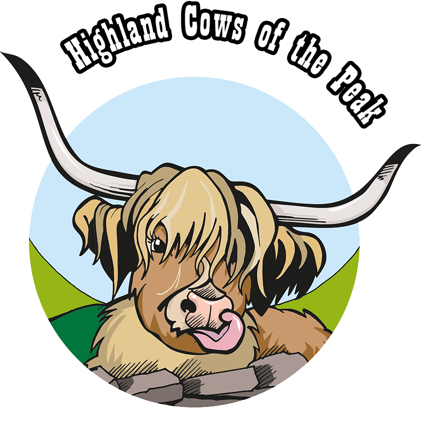 Highland Cattle Coat Colour Genetics Explained — Highland Cows of the ...