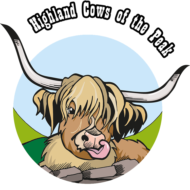 Highland Cattle Coat Colour Genetics Explained — Highland Cows of the ...