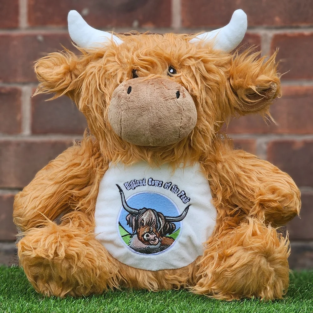 Highland Cow Experience - Peak Highland Cow Experiences, Meet the Coos ...