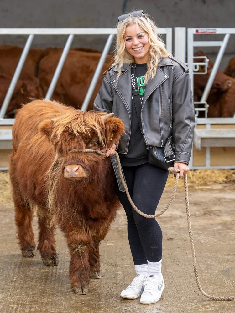 Highland Cow Experience, Meet the Coos Safari, Highland Calf Hands-On ...