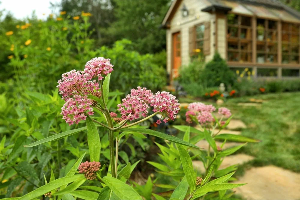 Hively Landscapes | Landscaping, Landscape Design & Lawn Care Services ...