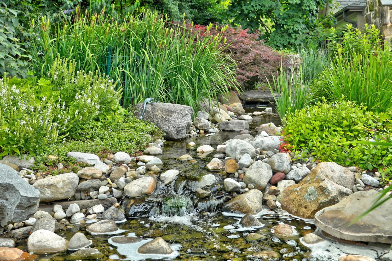 Meet the Hively Team: Experts in Landscape Design & Construction ...
