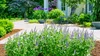 Hively Landscapes | Landscaping, Landscape Design & Lawn Care Services ...