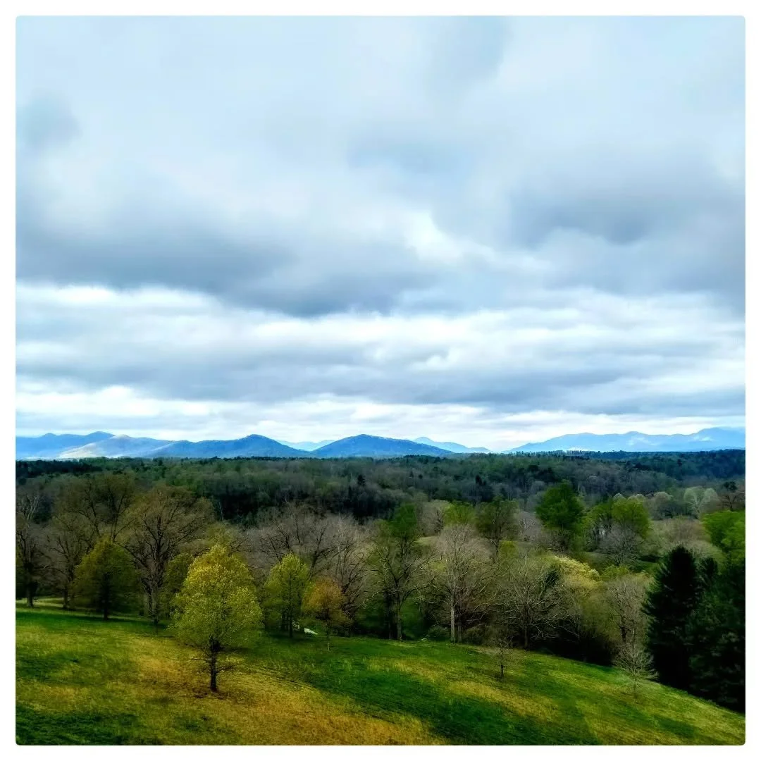 Angela Savidge — Mystic Moonlight Films