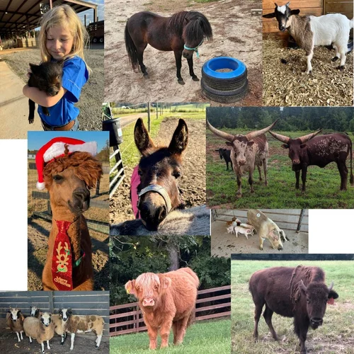 Saluda Livestock Exchange