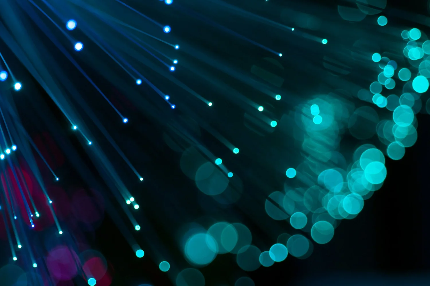 Programs — Project ECHO