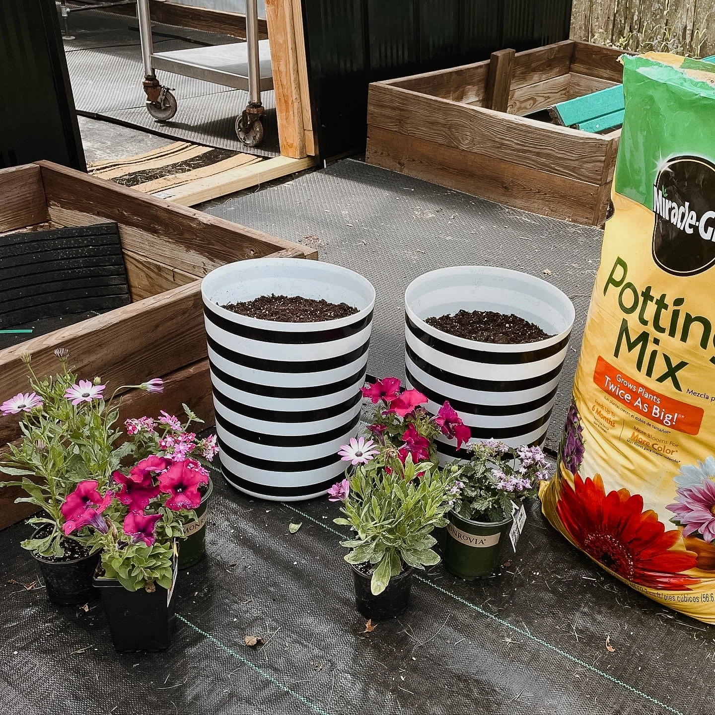 Upgrading Trash Cans: Creative Flower Planters Using Repurposed Trash ...