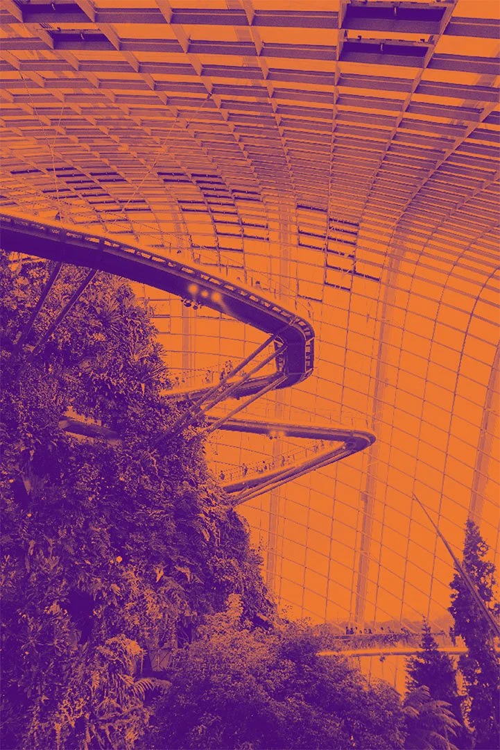 Better Earth Ventures