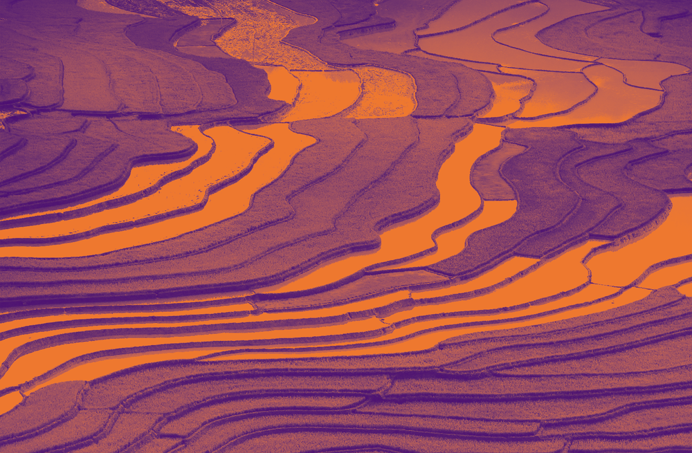 Better Earth Ventures