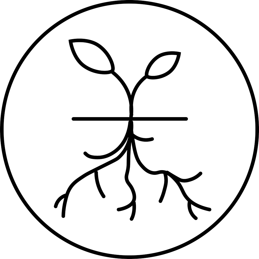 Breakthrough Counseling