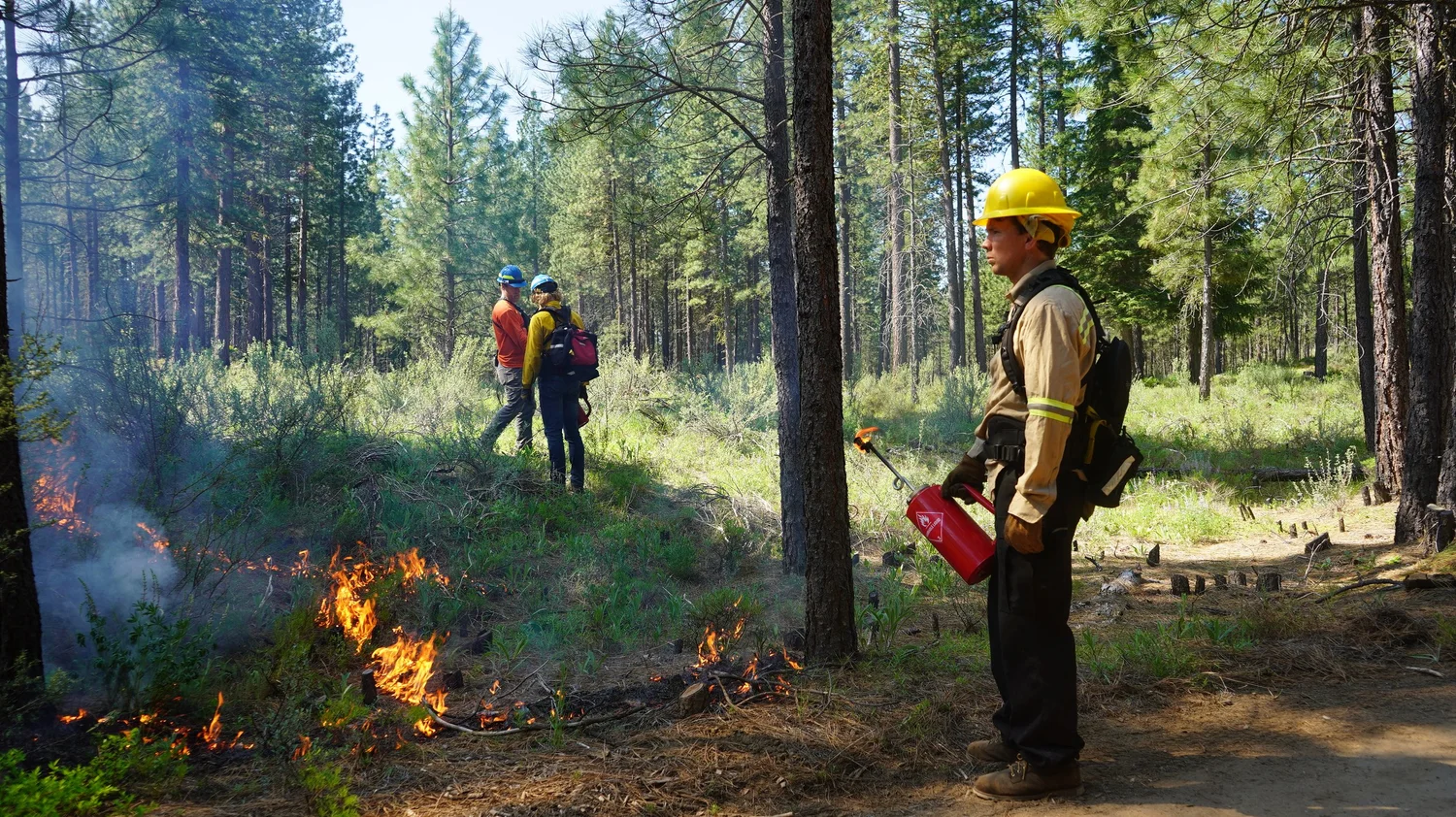 Prescribed Fire 101 — OREGON PRESCRIBED FIRE COUNCIL