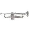 BAC Trumpets | Premium Craftsmanship & Brilliant Sound — B.A.C. Musical ...