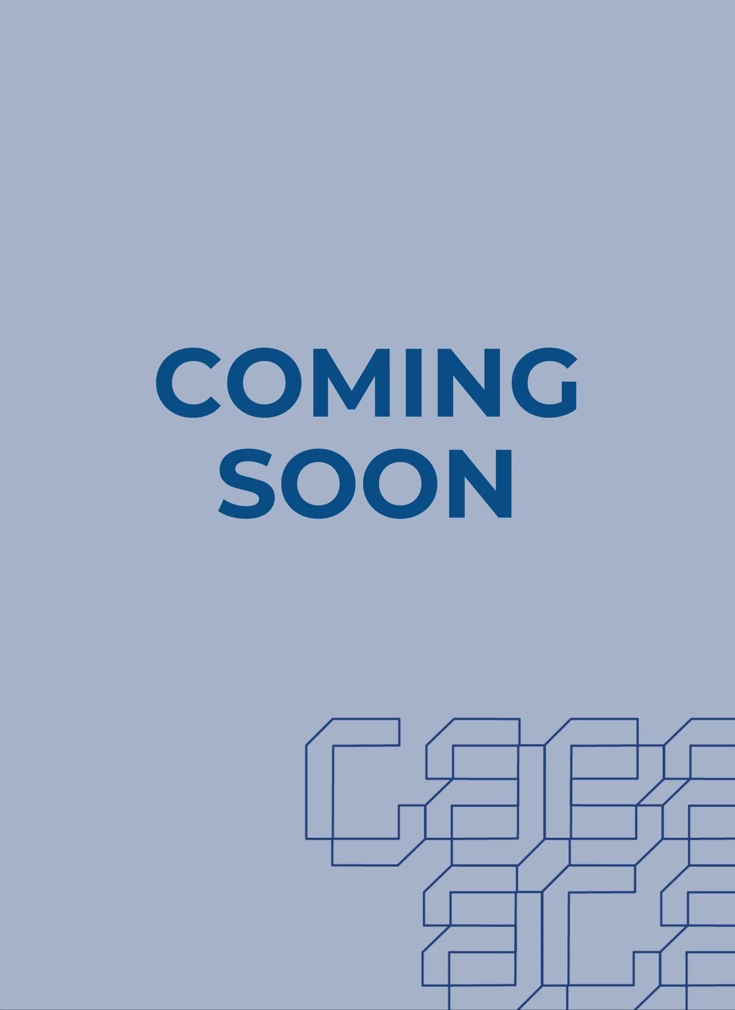 COMMERCIAL PROJECTS — BOSCAN