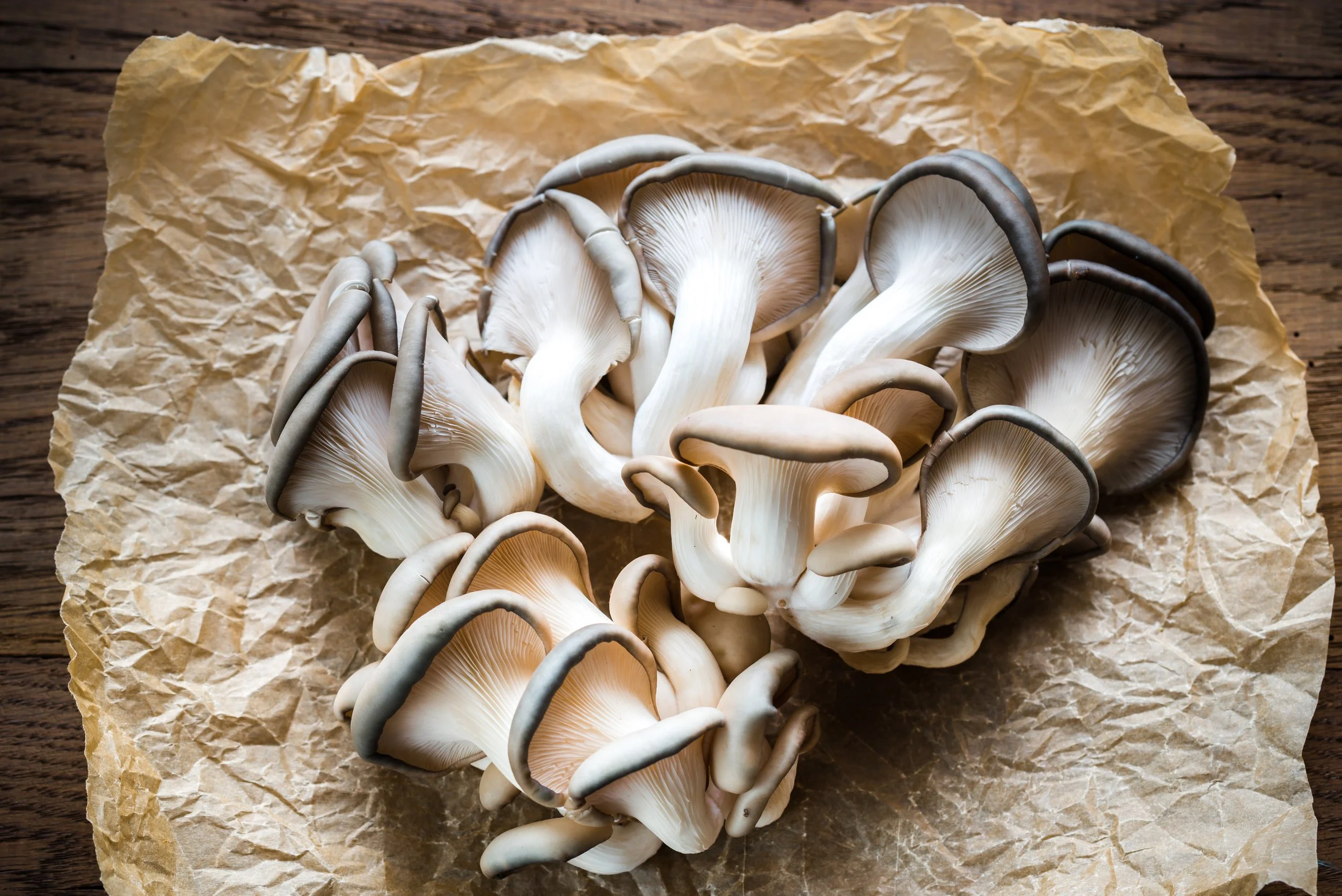 Southern Mushroom Company