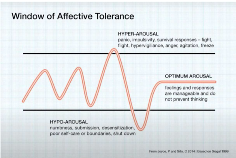 Become Self-Empowered with the Window of Tolerance — Embodied You