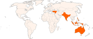 Orphans Without Borders