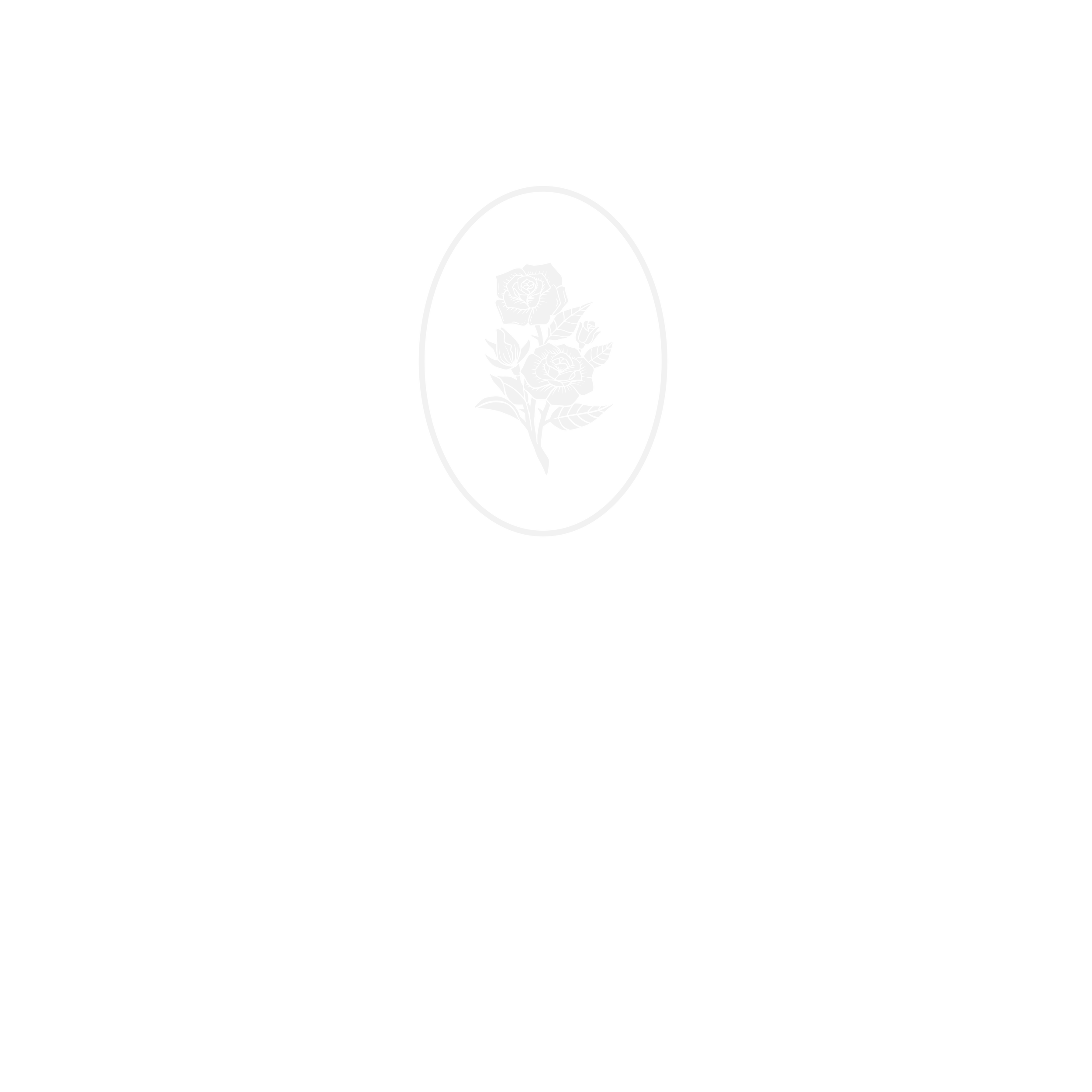 DT BEAUTY