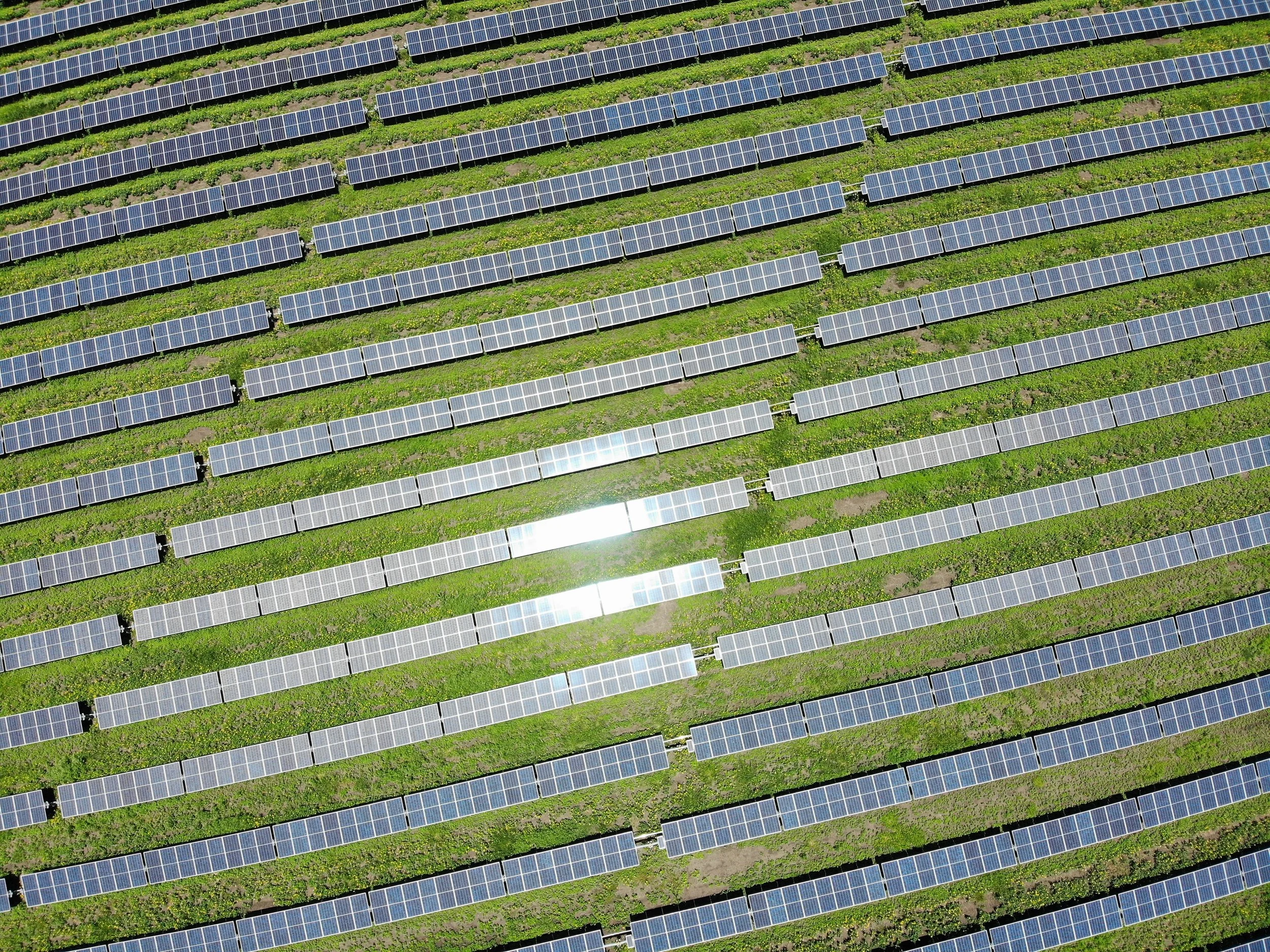 Wooderson Solar Farm