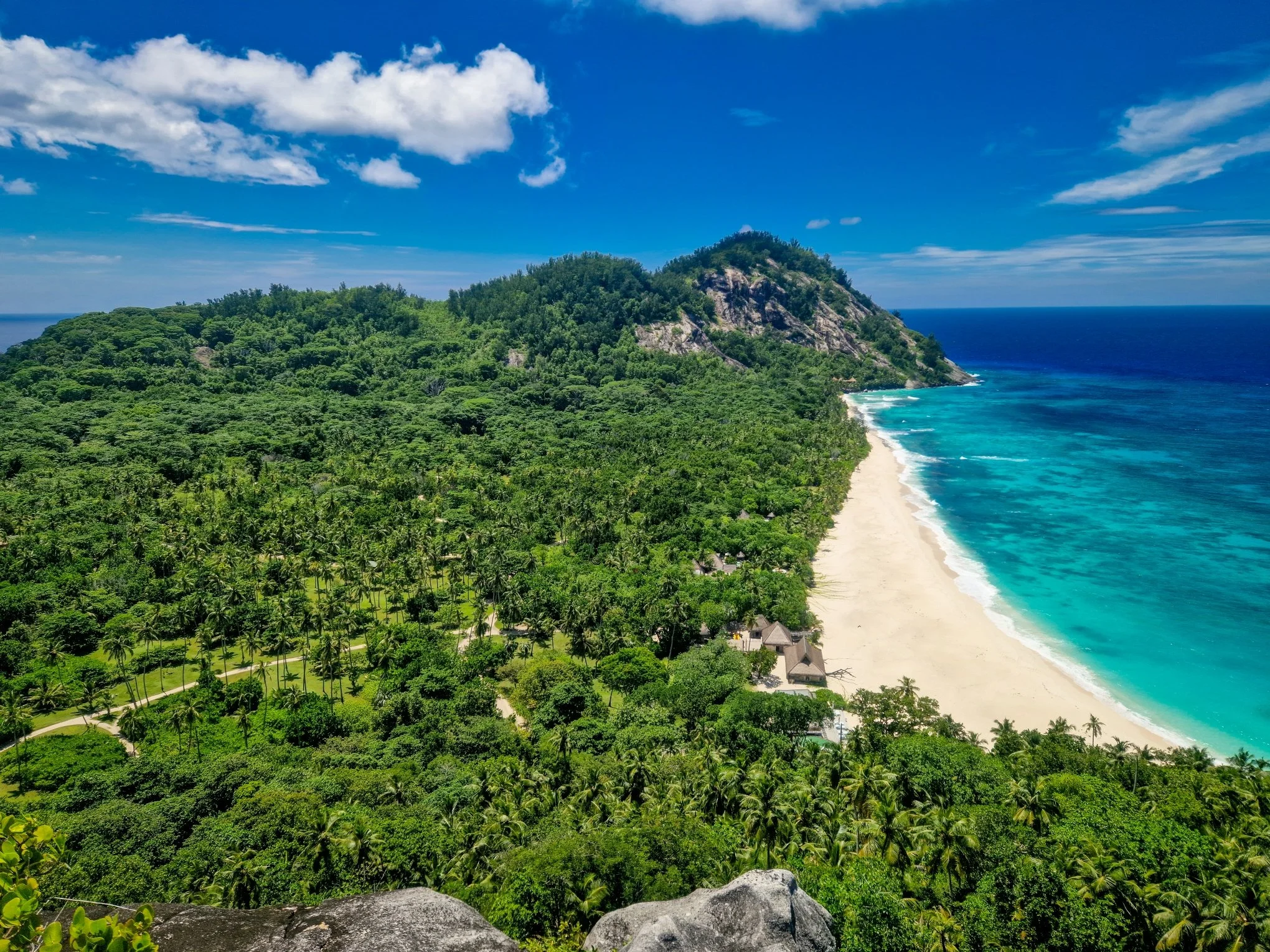 Rewilding North Island — IOTA