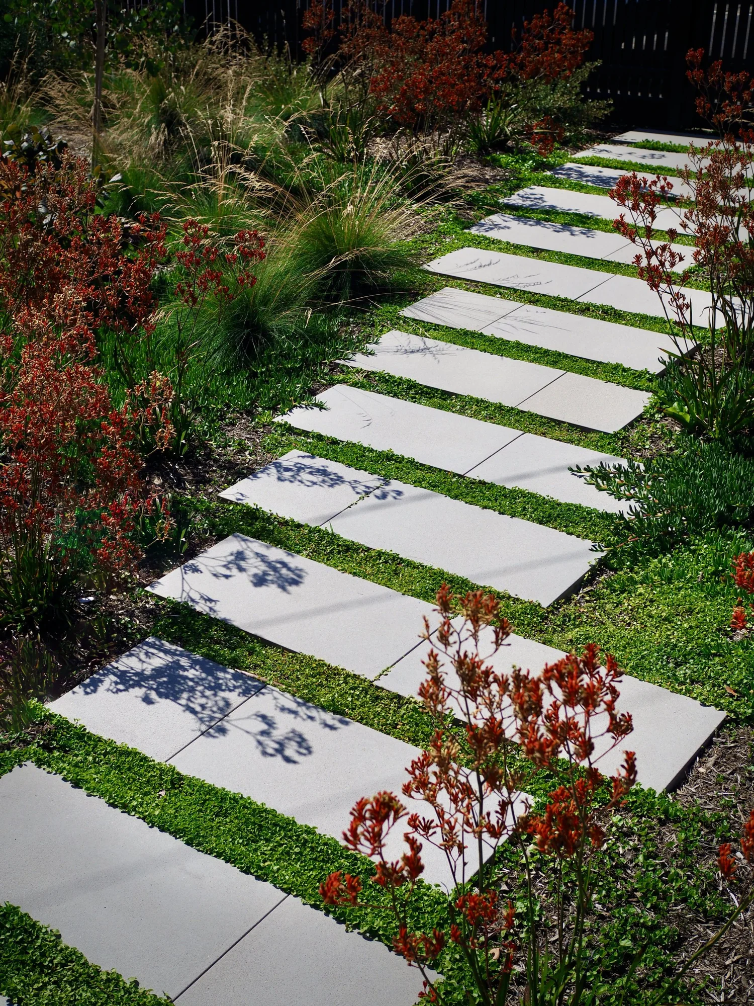 Tyler St — Straw Brothers / Landscape Design