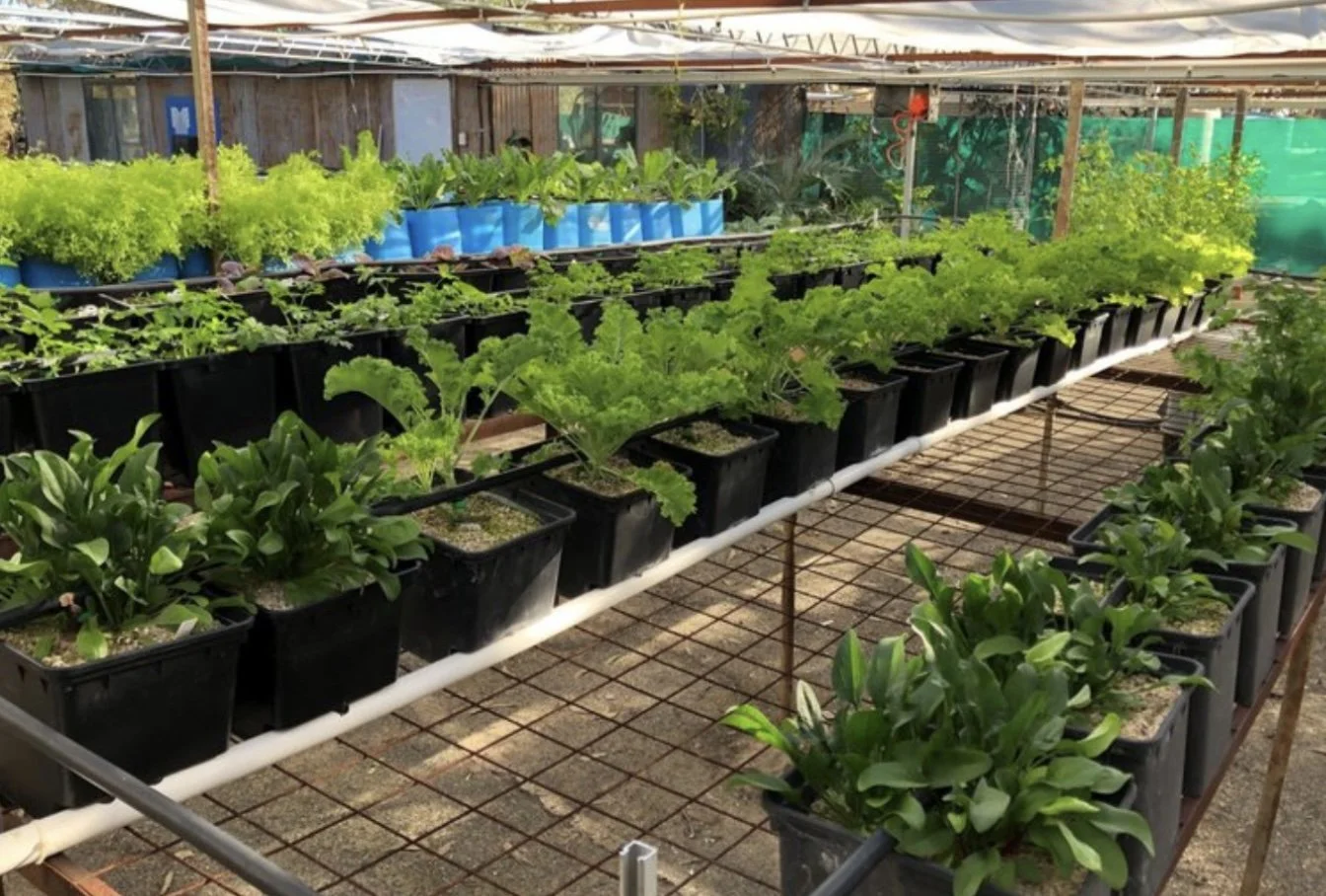 Water Efficient Products and Services | Smart Drop Certified
