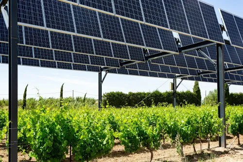 What is Agrivoltaics? Discover Benefits for Sustainable Farming ...