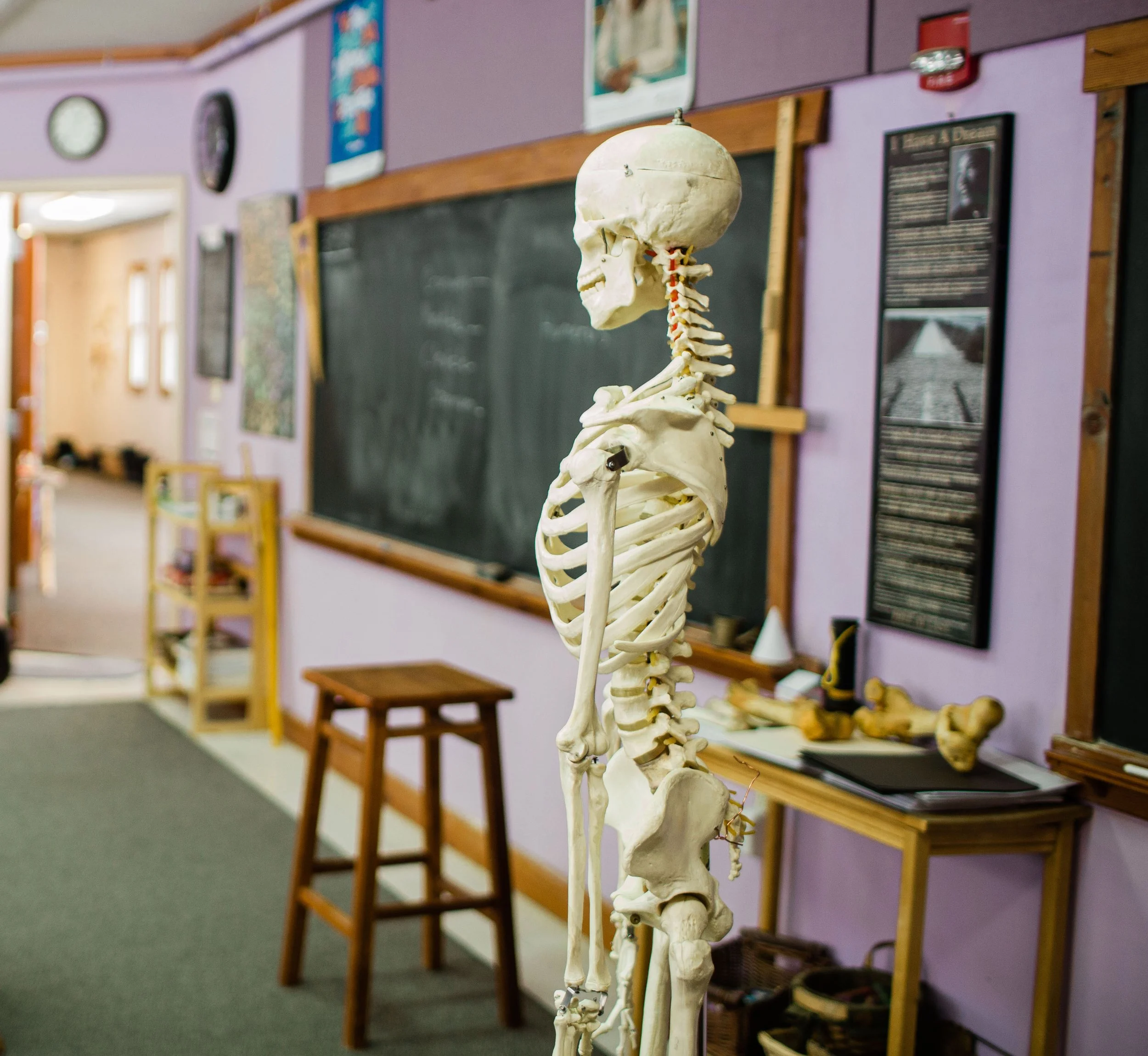 Middle School — The Minnesota Waldorf School