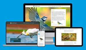 The RSPB Magazine - early digital transformation story — The CMA