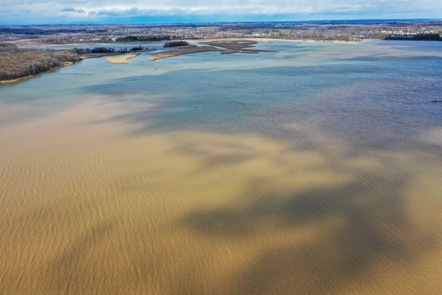 Gallery 1 — Mad About Mud