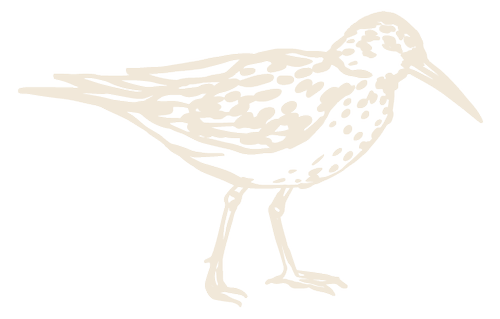 Linnette's at The Dunlin