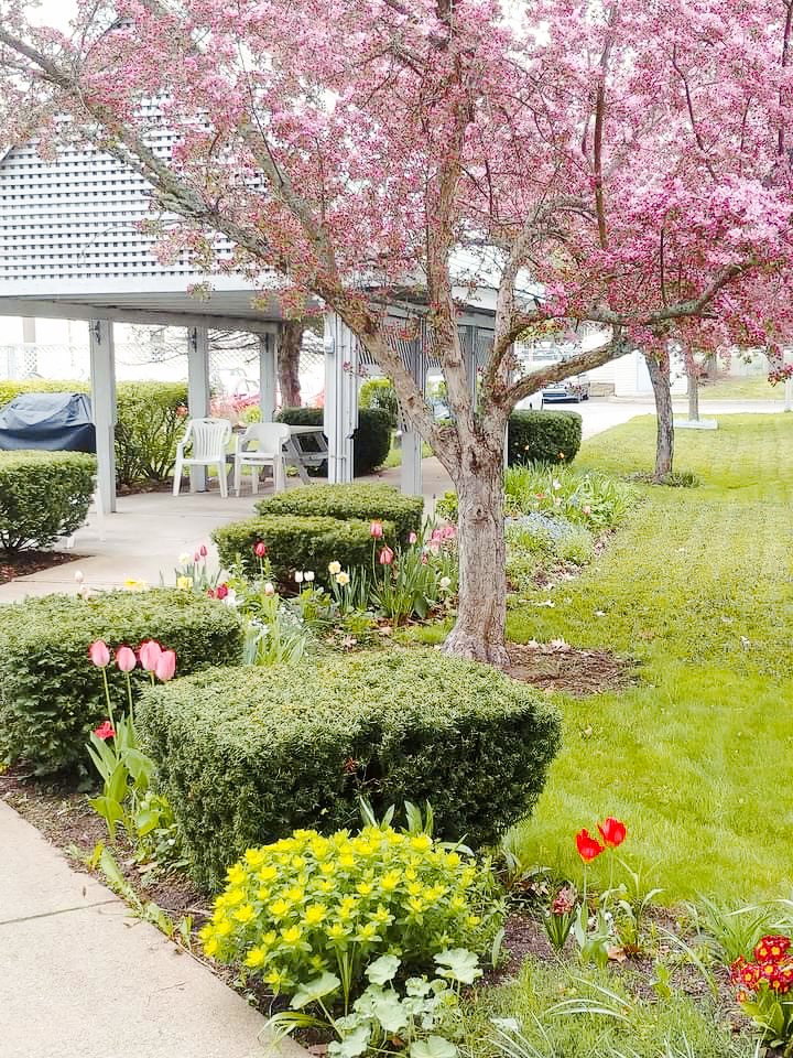Church Court — Atlantic Baptist Housing