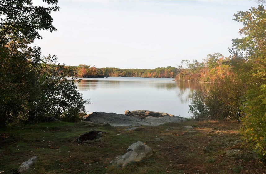 Almy Pond — Aquidneck Resilience