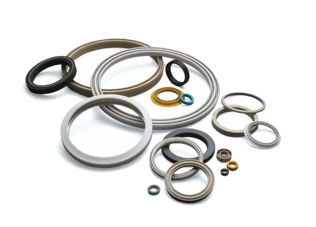 Spring Energized Seals | Explore Reliable Sealing Solutions ...