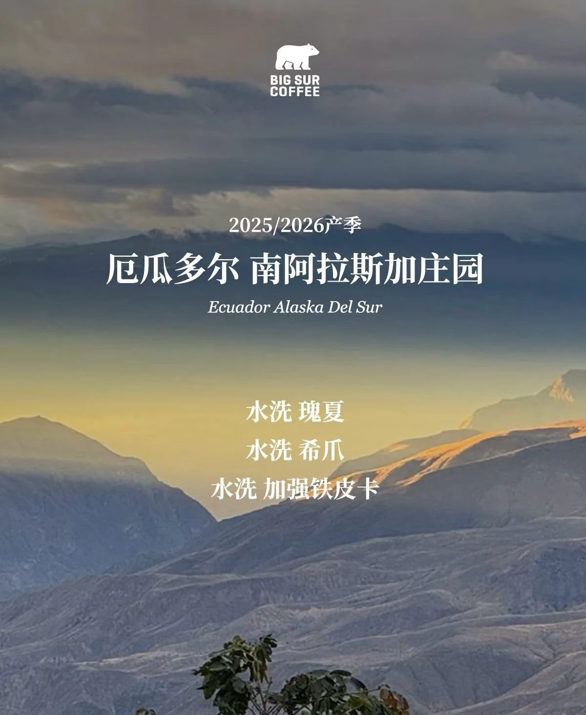 Big Sur Coffee drop at Masterpiece Coffee Online Shop — Masterpiece Coffee