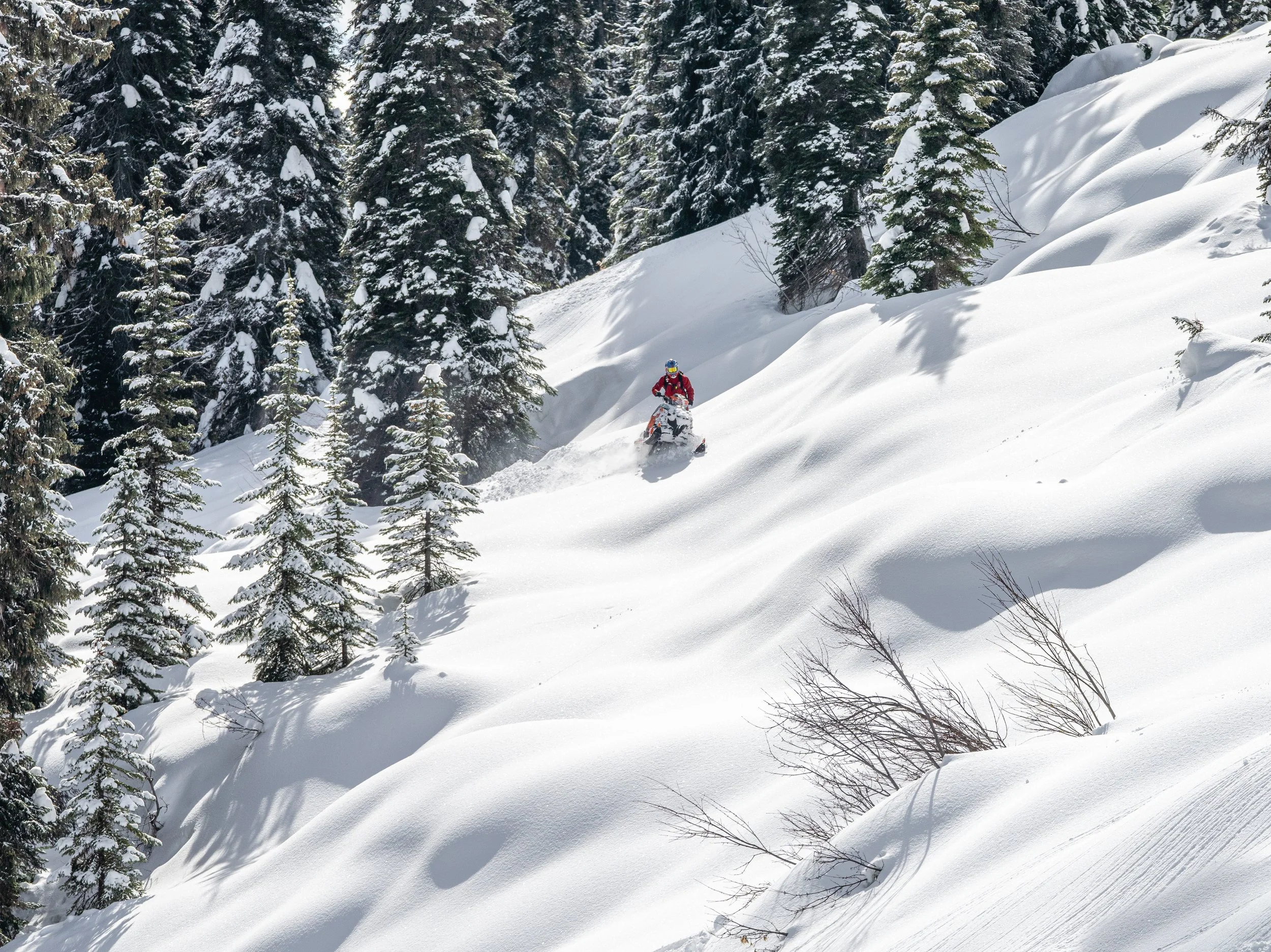 TRS Performance Inc.