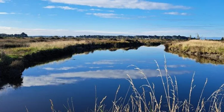 About the Styx — Styx Living Laboratory Trust