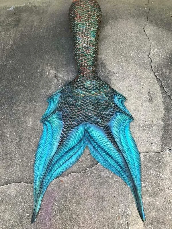 Tail Shop — MerrowFins