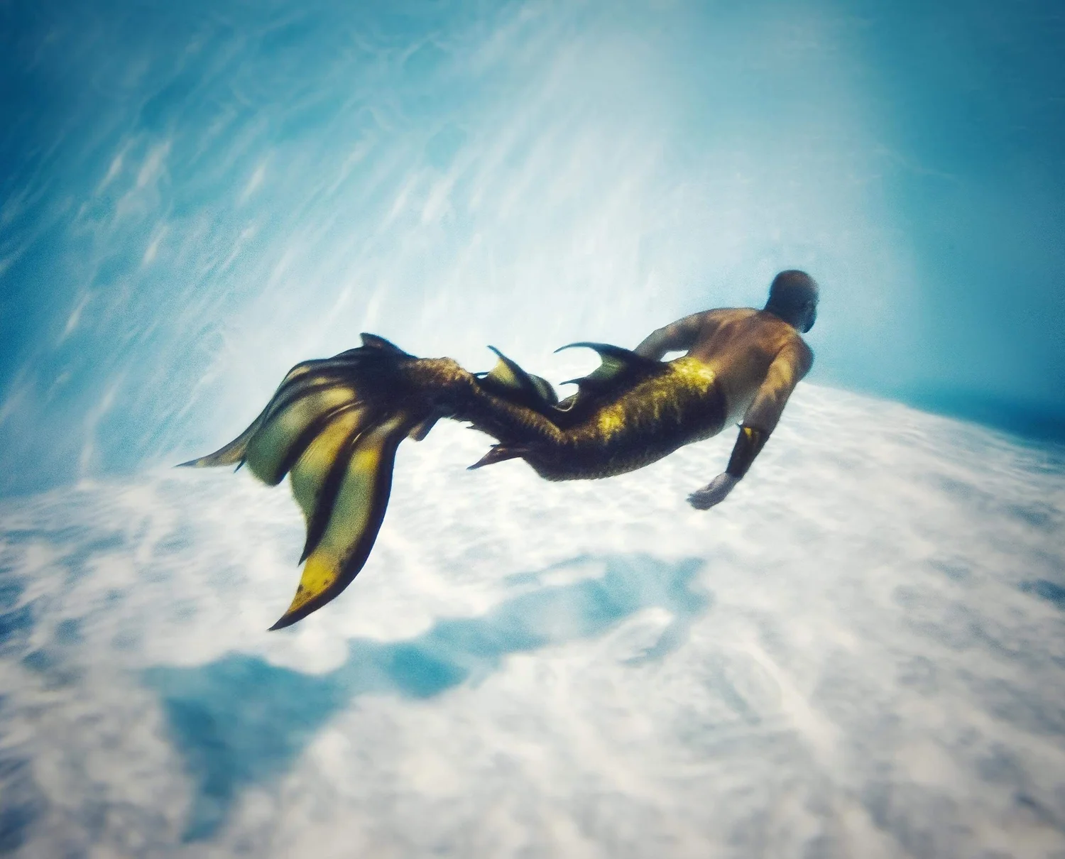 Tail Shop — MerrowFins