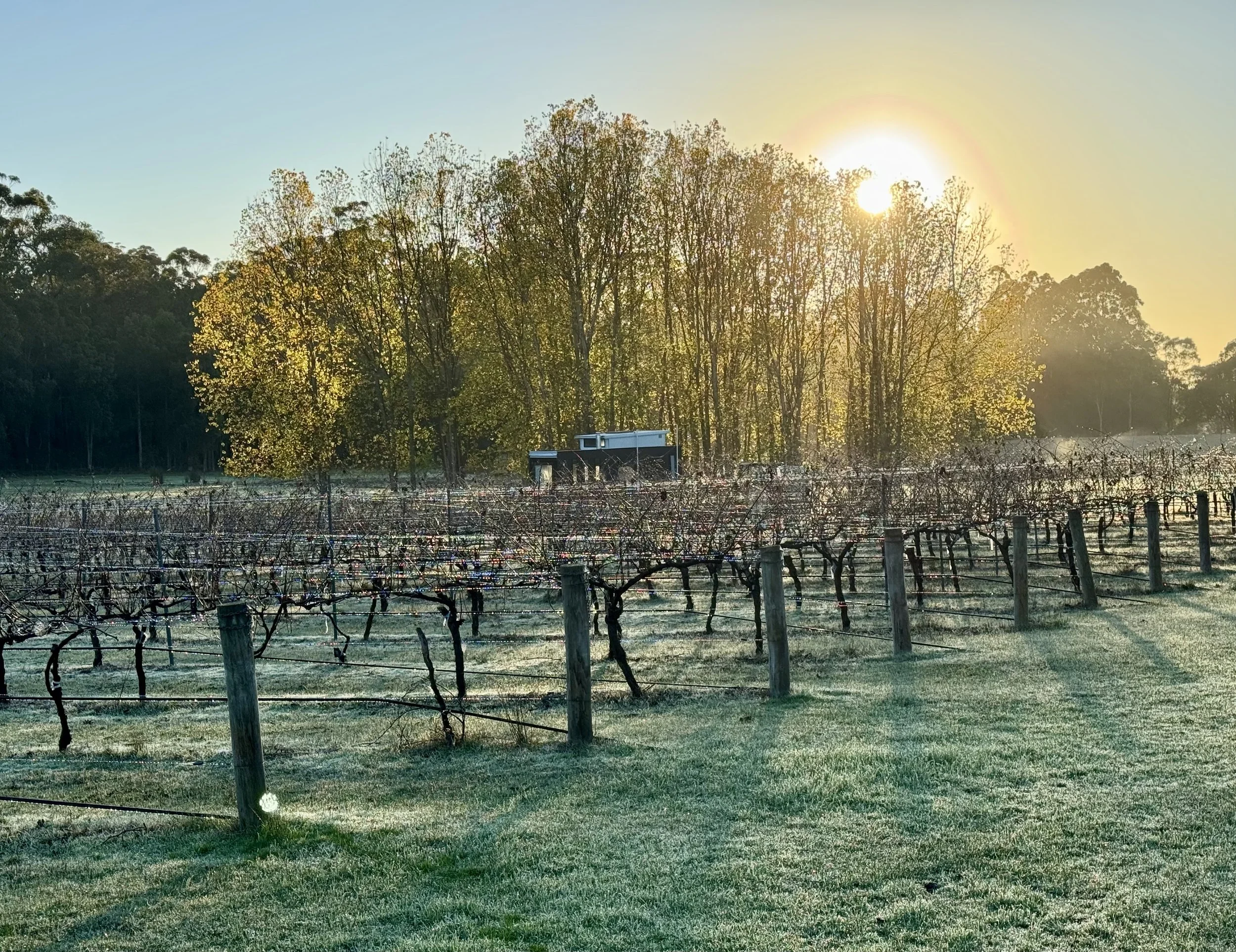 Accommodation Manjimup | Luxury Farm Stay & Tiny Home | Dalton's Paddock