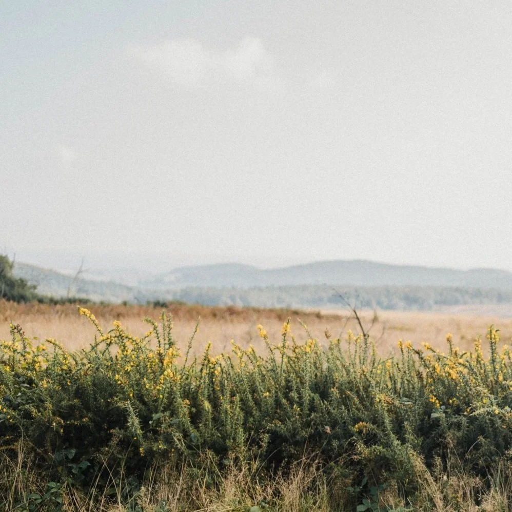 Portfolio — KALKIDAN LEGESSE