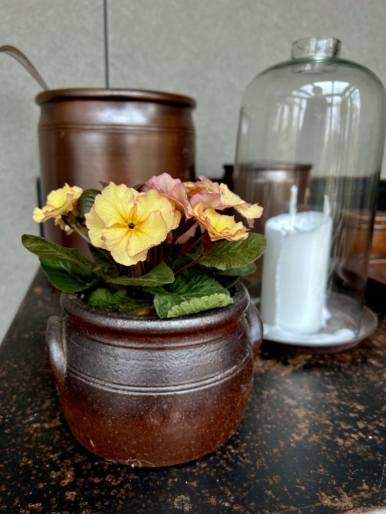 Trädgårdsdesign och rådgivning