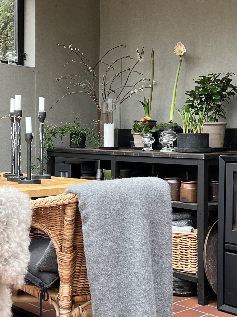 Trädgårdsdesign och rådgivning