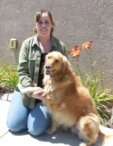 Intermediate Dog Training