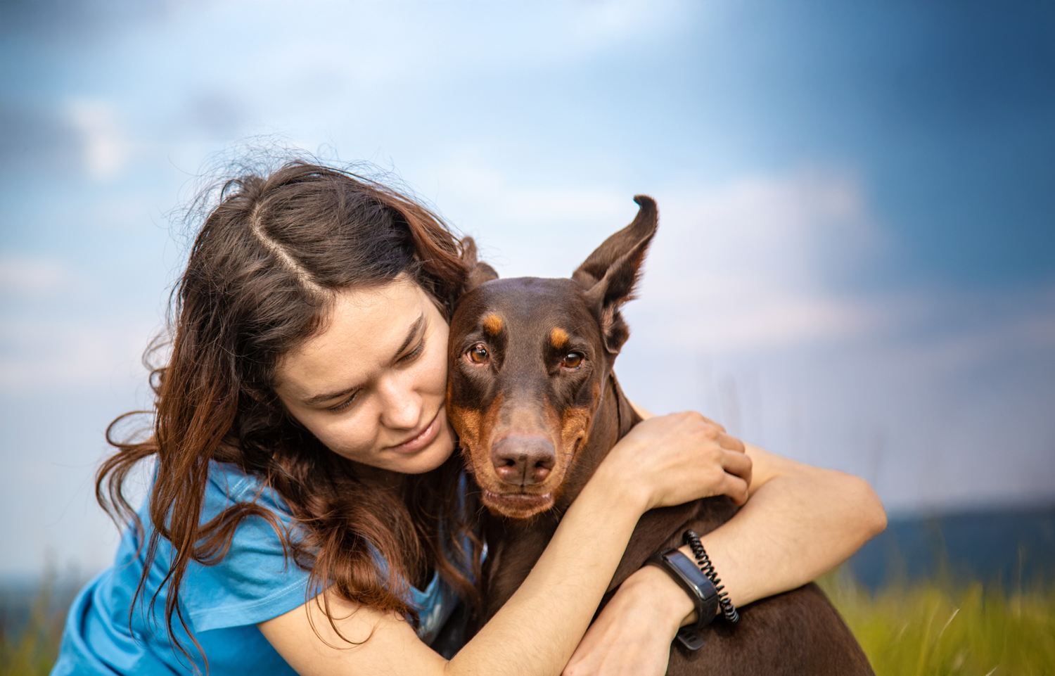 Doberman Rescue of North Texas | DRNT