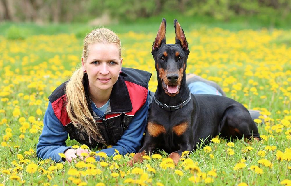 Doberman Rescue of North Texas | DRNT