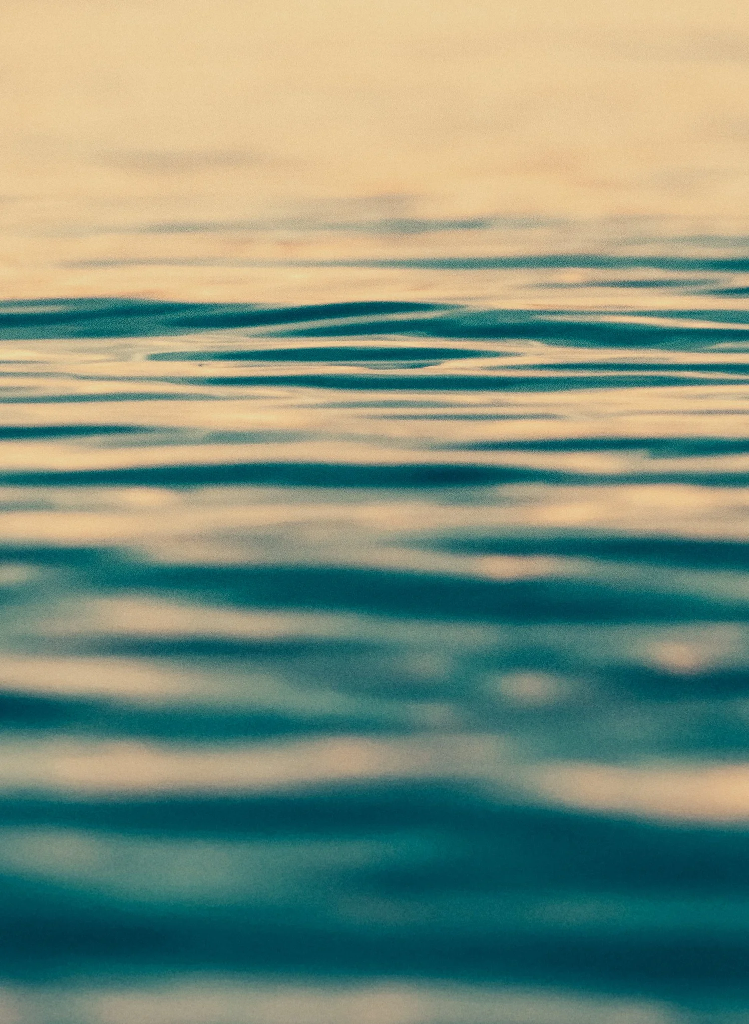 Colon Hydrotherapy in Jacksonville, FL | Gentle & Effective Colonics ...