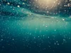 Colon Hydrotherapy in Jacksonville, FL | Gentle & Effective Colonics ...